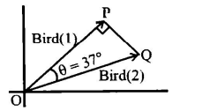 Two birds are at origin. They both start to fly in straight lines in ...