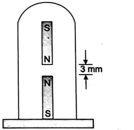 Two identical magnets with a length 10 cm and weight 50 g for each are ...