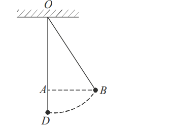 A particle is attached by a light string of length 3 a to a fixed point and describes a ...