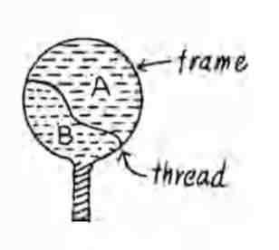 A thread is tied slightly loose to a wire frame as in figure and the ...