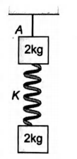 Two blocks of mass 2 kg are connected by a massless ideal spring of spring constant K = 10 N/m ...