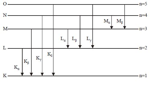 Kα and Kβ x-rays are emitted when there is a transition