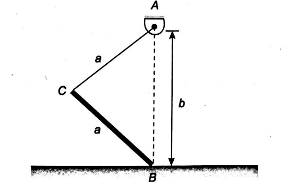 A uniform rod B C with length a is attached to a light string A C. End ...