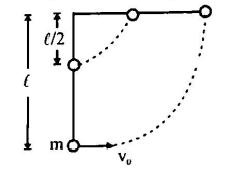 A light rod of length ℓ is pivoted at the upper end. Two masses (each m ...