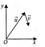 Figure shows the orientation of two vectors vecu and vecv in the xy ...