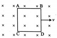 A metallic square loop ABCD is moving in its own plane with velocity v in a uniform magnetic ...