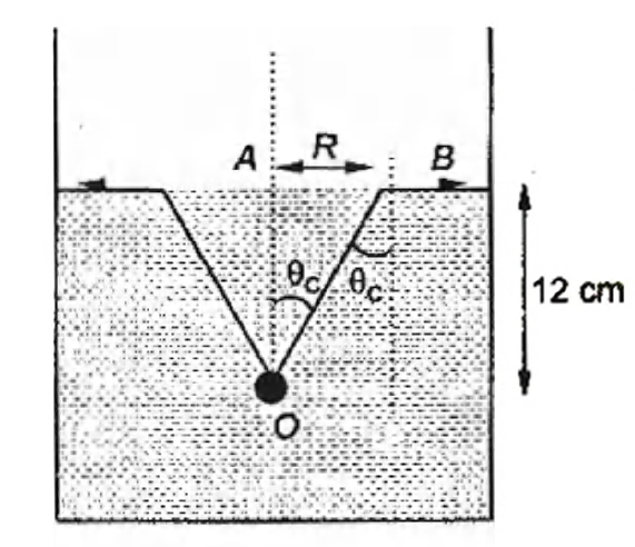 A fish looking up through the water sees the outside world, contained ...