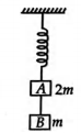Two blocks A and B of masses 2 m and m respectively are connected by a ...