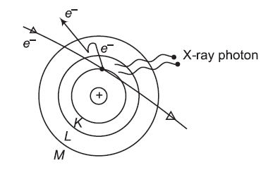 X - rays are produced due to - Tardigrade