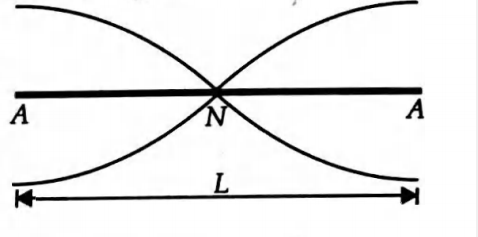 A steel rod 100 cm long is clamped at its midpoint. The fundamental ...