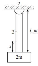 A block of mass 2 m is hanging at the lower end of a rope of mass m and ...