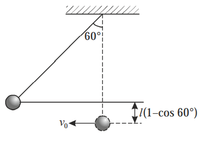 A bob is suspended from a crane by a cable of length l=5 m. The crane ...