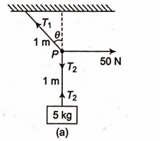A block of mass 5 kg is suspended by a massless rope of length 2 m from ...