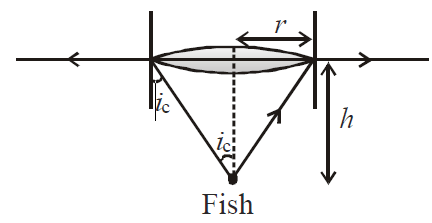 A fish looking up through the water sees the outside world contained in ...