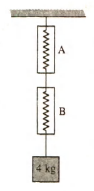 A block of mass 4 kg is suspended through two light spring balances A ...