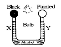 The following figure shows two air-filled bulbs connected by a U-tube ...
