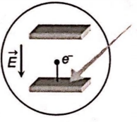 The collector plate in an experiment on photoelectric effect is kept ...