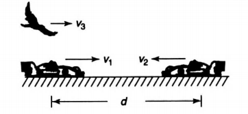 A bird flies to and fro between two cars which move with velocities v1 ...