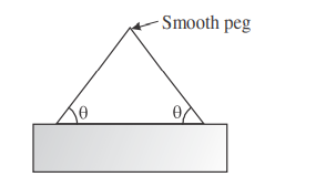 A block of mass m is supported by a string passing through a smooth peg ...