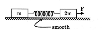 Two blocks of masses ' m ' and 2 m are kept on a smooth horizontal surface. They are connected ...