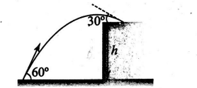 A stone projected at an angle of 60° from the ground level strikes at ...