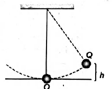 The bob of a simple pendulum is displaced from its equilibrium position ...