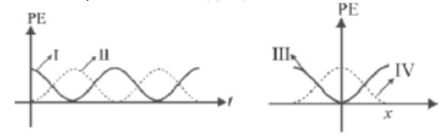 For a particle executing SHM the displacement x is given by x=A cos ω t. Identify the graph ...
