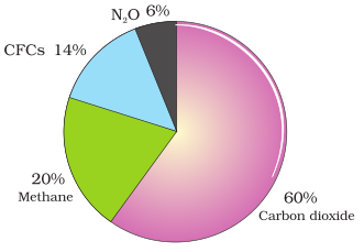 Select the correct option by identifying the relative contribution of ...