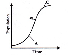Identify phases labeled as A, B, and C in a given sigmoidal growth curve.
