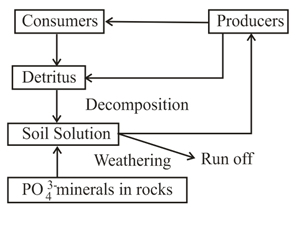 Study the given flow chart and select the correct statements regarding ...