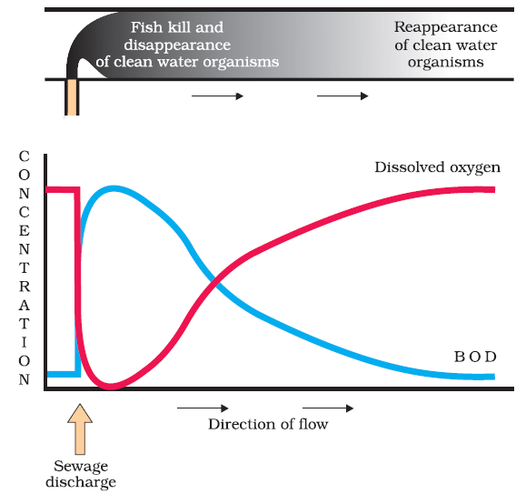 The graph given below represents the effect of sewage discharge on some ...