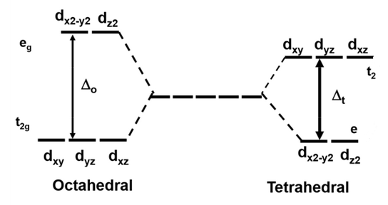 Which of the following statements is/are correct? (i) In octahedral ...