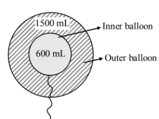 Two inflated balloons I and II (thin skin) having volume 600 ml and ...