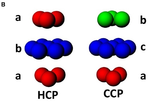 Which of the following arrangements correctly represents hexagonal and ...