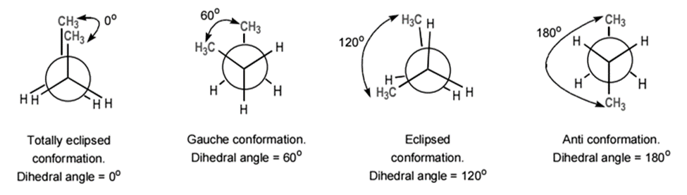 Which of the comformers of n - butane has maximum potential energy?