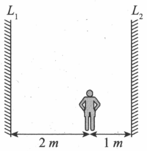 Two mirrors labelled L1 for left mirror and L2 for right mirror in the ...