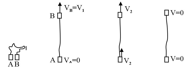 Two bodies of the same mass are connected with an inelastic string of ...