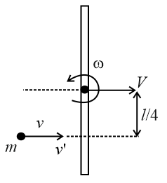 A uniform smooth rod (mass m and length l ) placed on a smooth ...