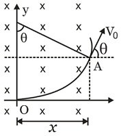 A particle of charge per unit mass α is released from the origin with velocity vec v = v 0 hat i ...