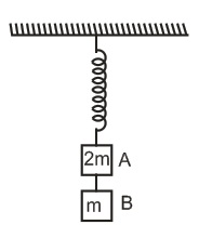 Two blocks A and B of masses 2m and m respectively are connected by a massless and inextensible ...