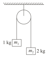 Two masses m1=1kg and m2=2kg are connected by a light inextensible string and suspended by means ...