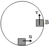 A particle is given an initial speed u inside a smooth spherical shell of radius R=1 m such that ...