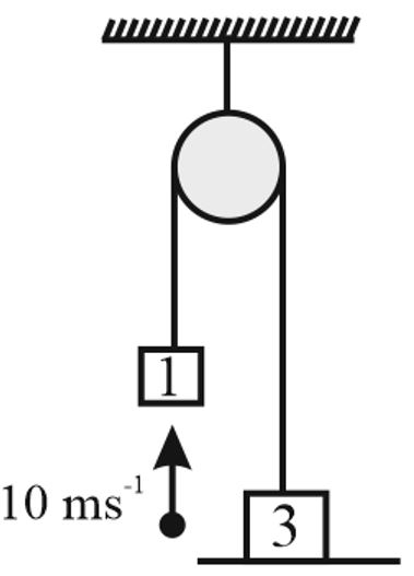 A light inelastic thread passes over a small frictionless pulley. Two ...