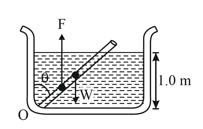 A uniform rod of length 2.0 m , specific gravity 0.5 and mass 2 kg is ...