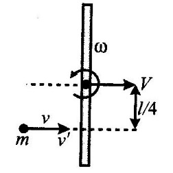 A uniform smooth rod (mass m and length l ) placed on a smooth ...