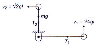 A particle is suspended by a light vertical inelastic string of length ...
