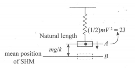 A block weighing 10N is attached to the lower end of a vertical spring ...